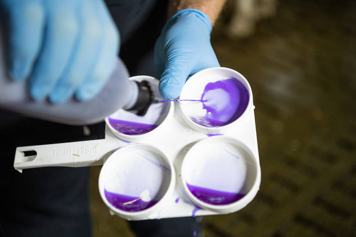 Probenahme | Milchproduzenten > Zentralschweizer Milchproduzenten